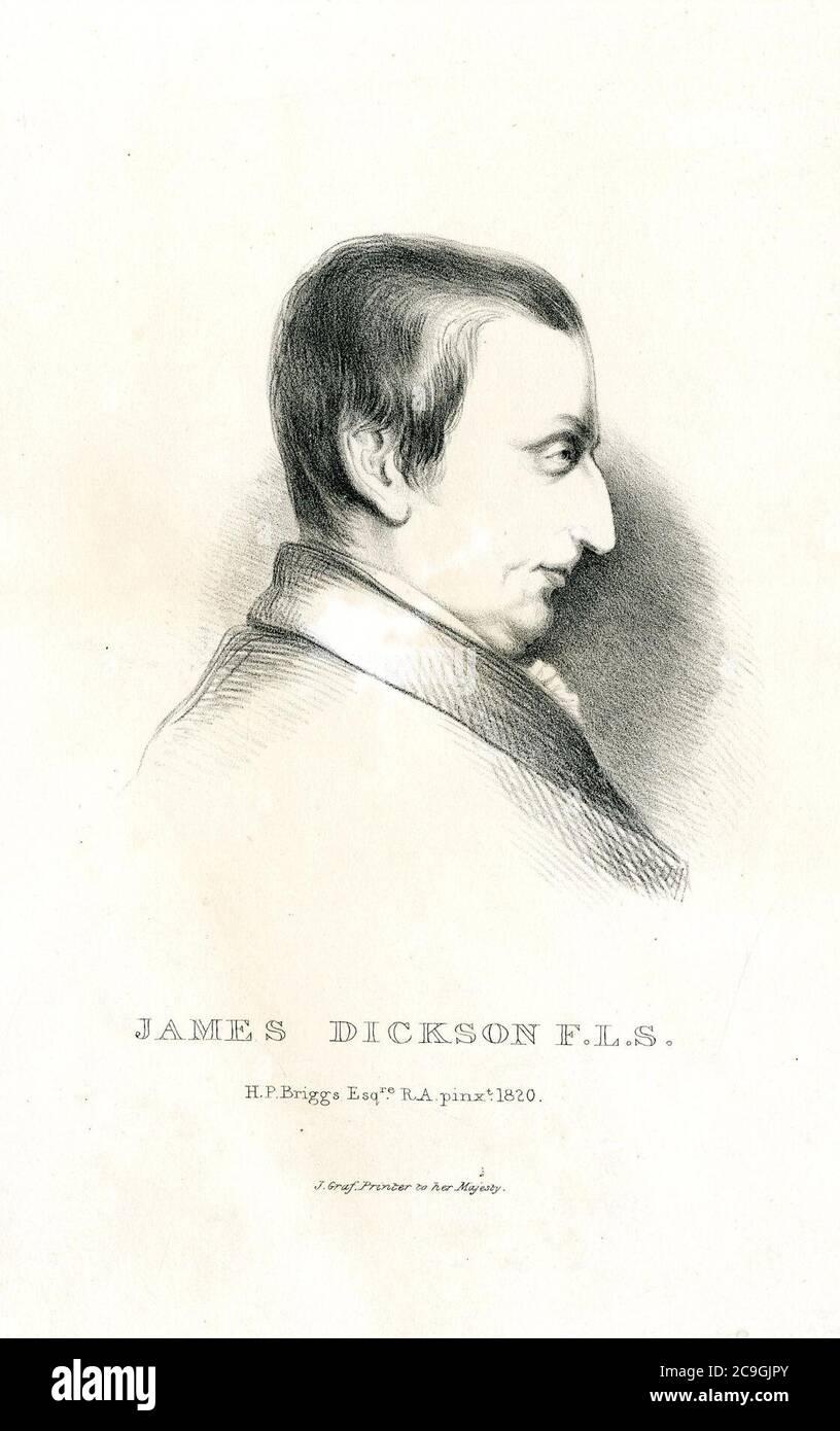 James dickson hi-res stock photography and images - Alamy