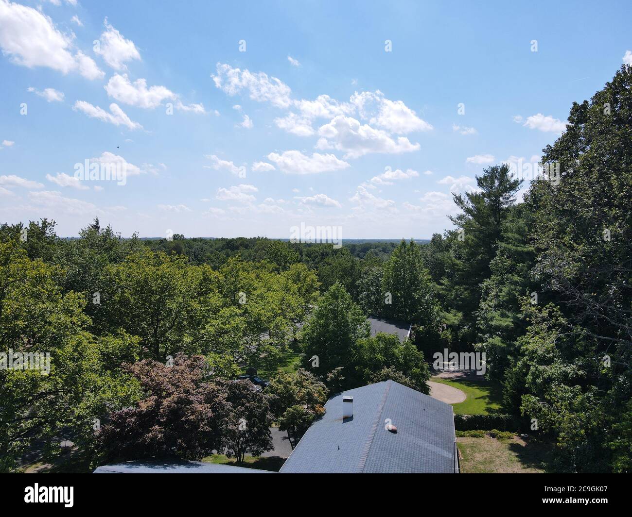 Sycamore section hi-res stock photography and images - Alamy
