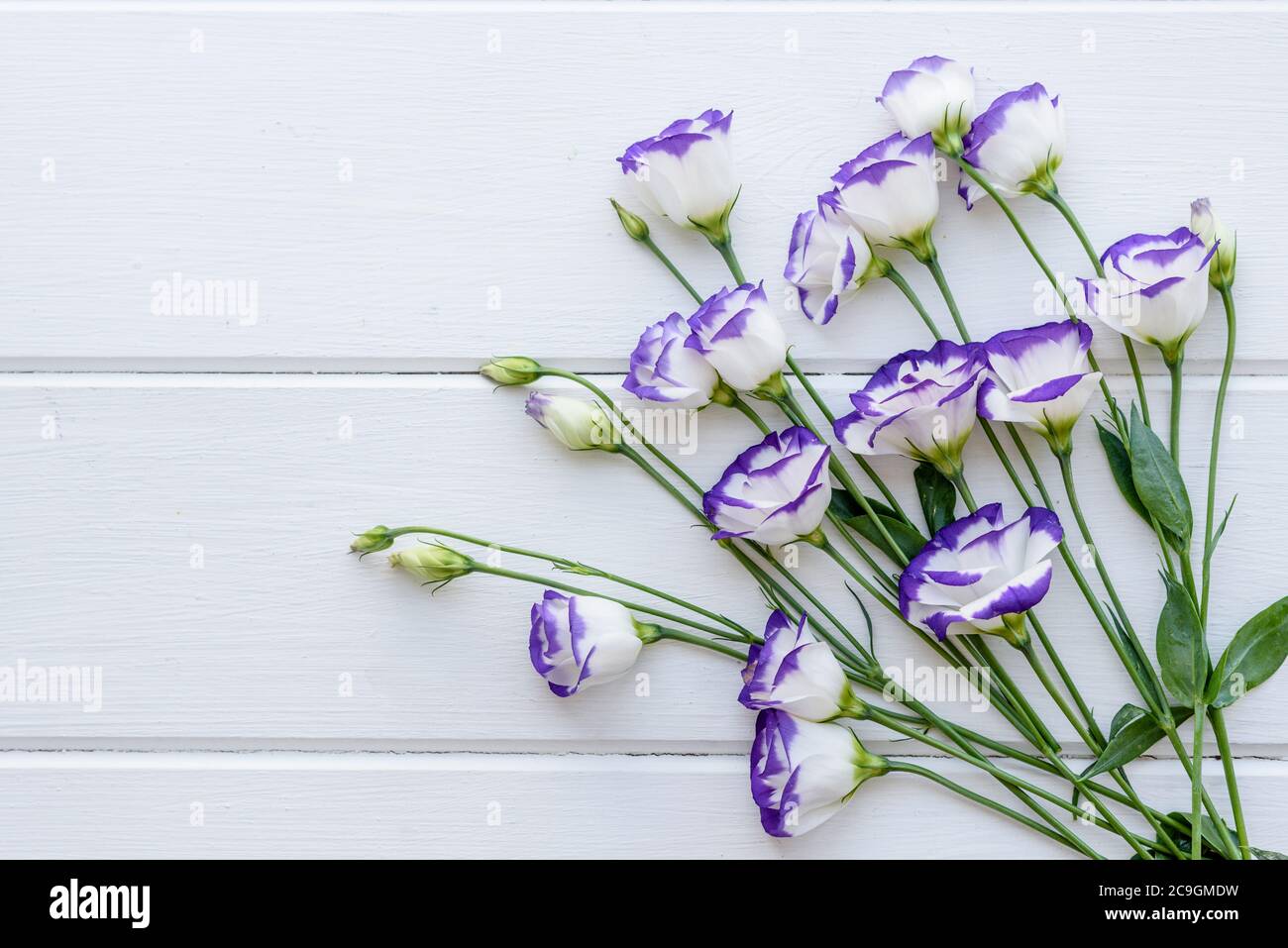 A bouquet of beautiful freshly cut purple eustoma on a one ton ...