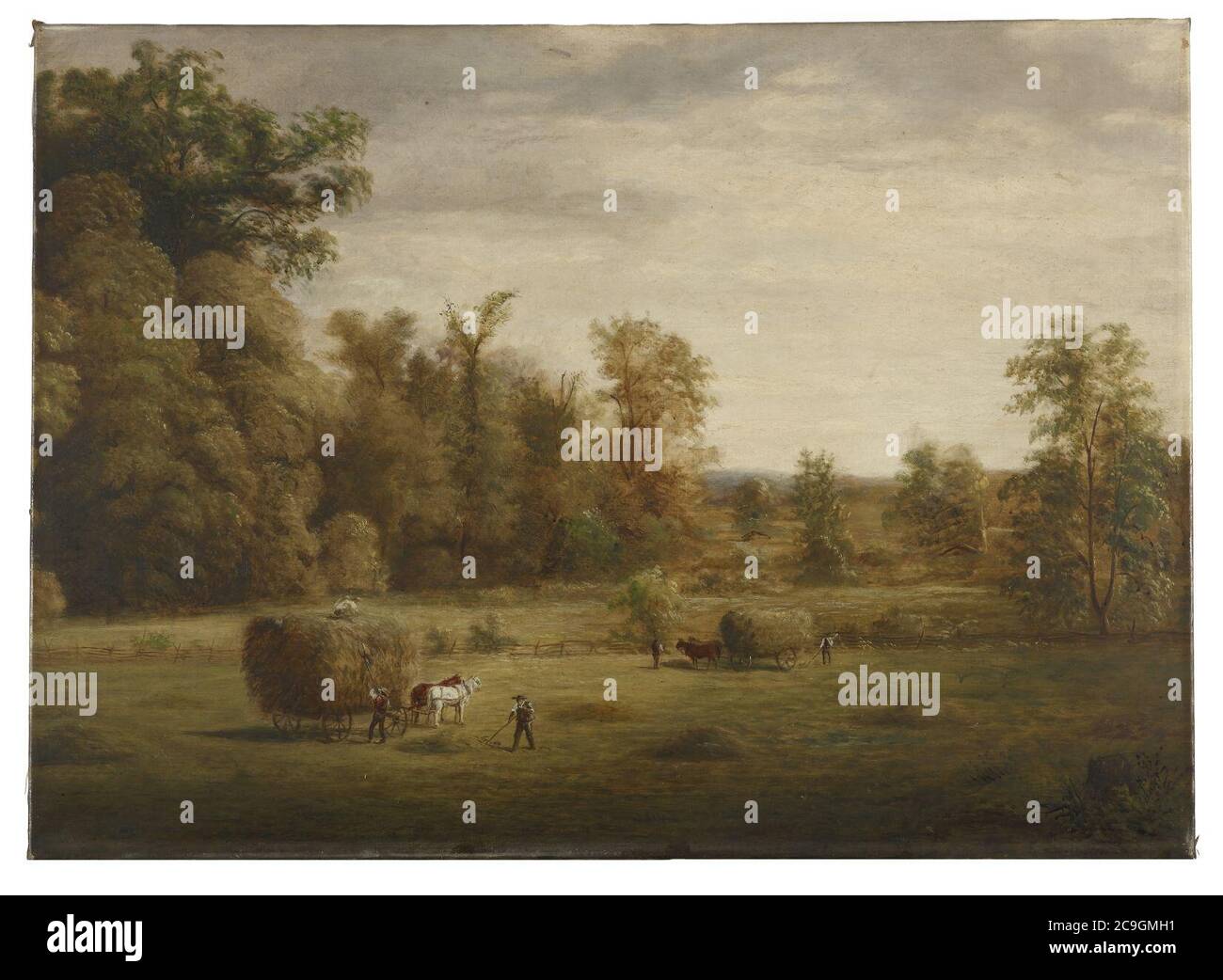 Jacob Cox - Sherman's Meadow Stock Photo - Alamy