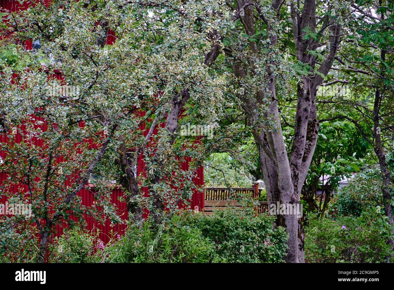 Architectural details and lush garden scenery in west Kópavogur, 50s ...