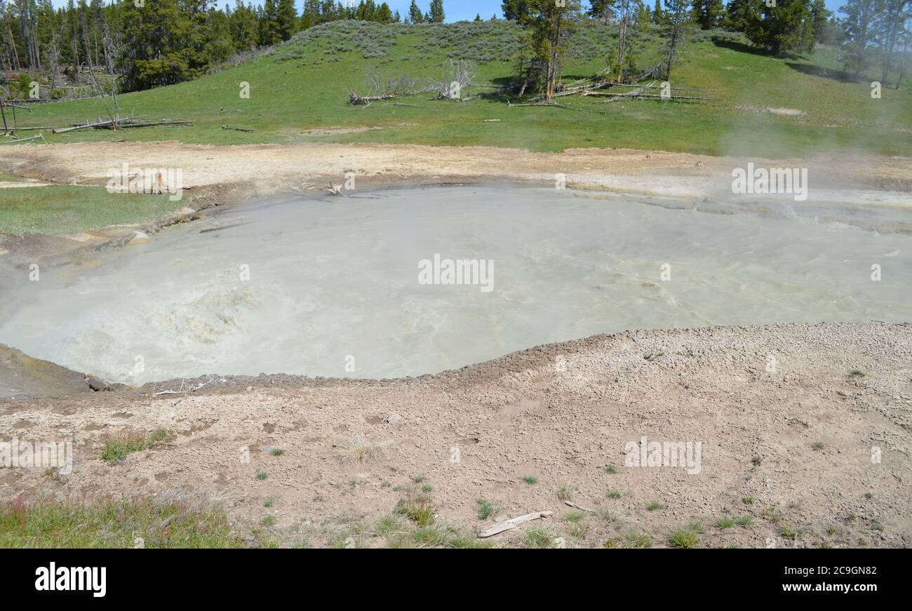 Late Spring in Yellowstone National Park: Churning Caldron Muddy Pool ...