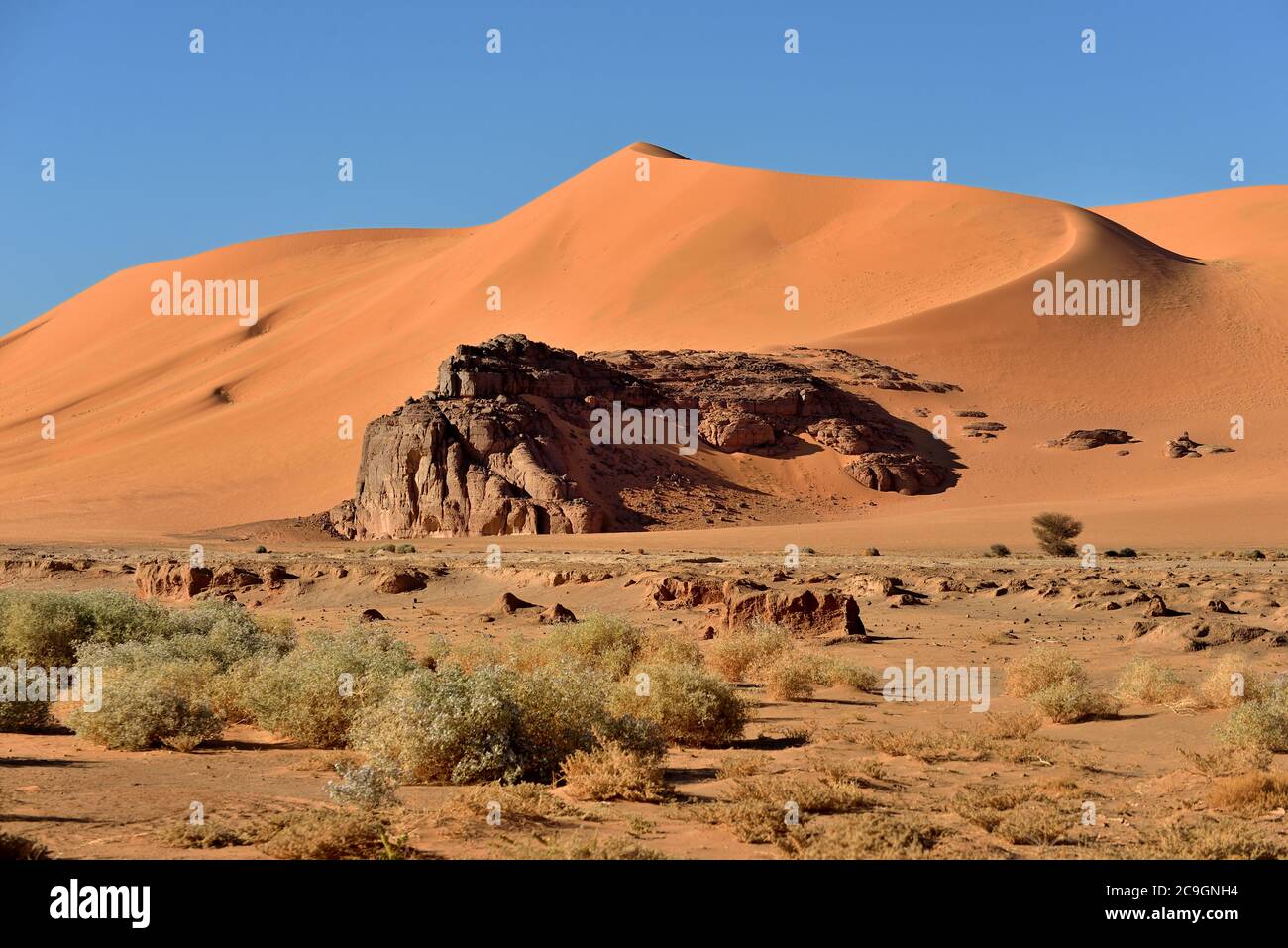 TADRART ROUGE , ALGERIA. SAHARA DESERT. TIN MERZOUGA AND MOUL N AGA ...