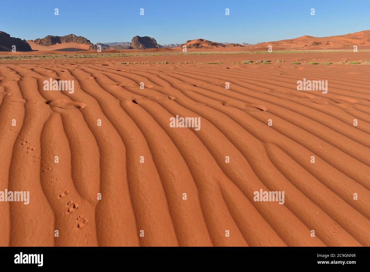 Tadrart rouge national park hi-res stock photography and images - Alamy