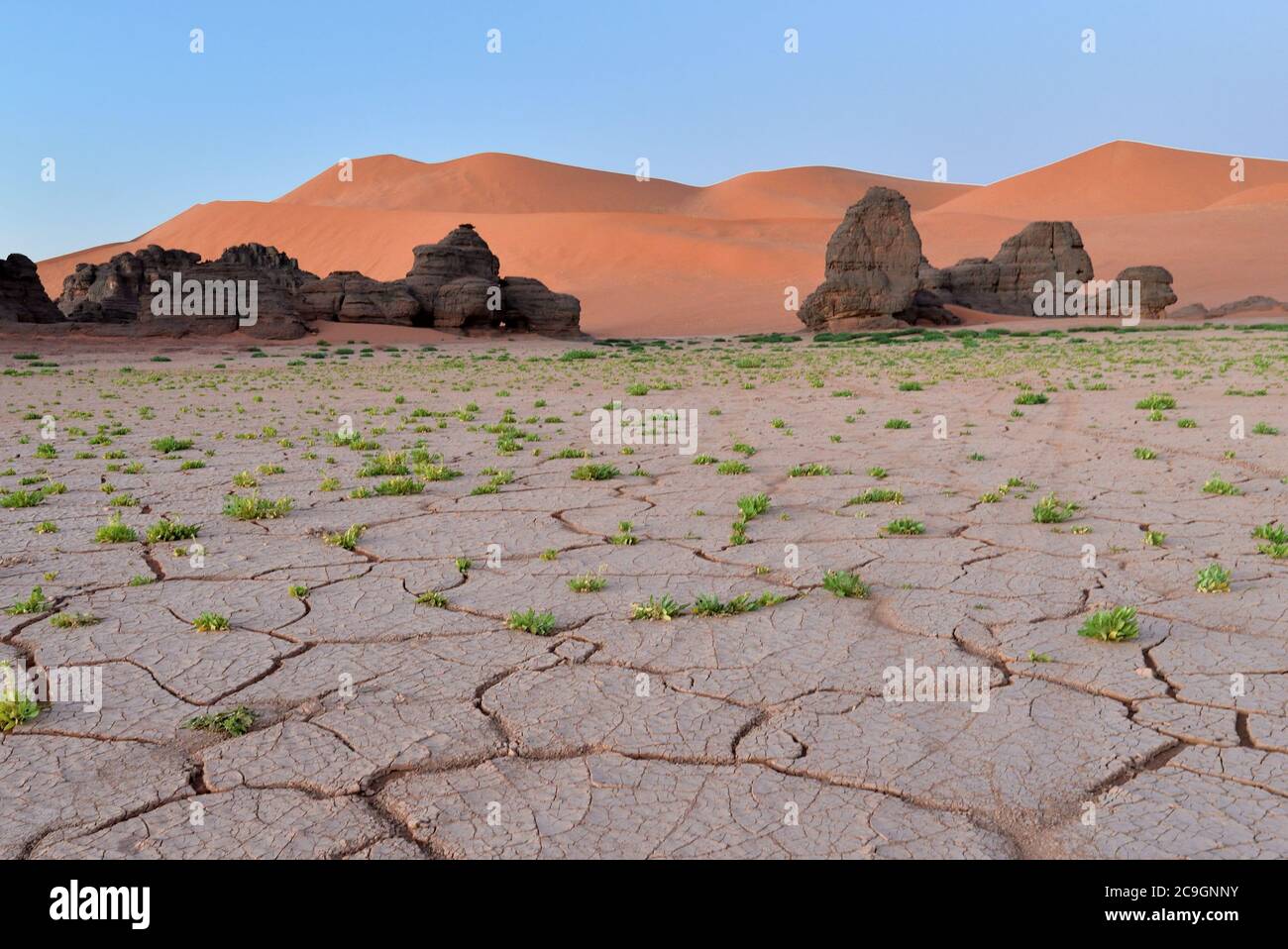 TADRART ROUGE , ALGERIA. SAHARA DESERT. TIN MERZOUGA AND MOUL N AGA ...