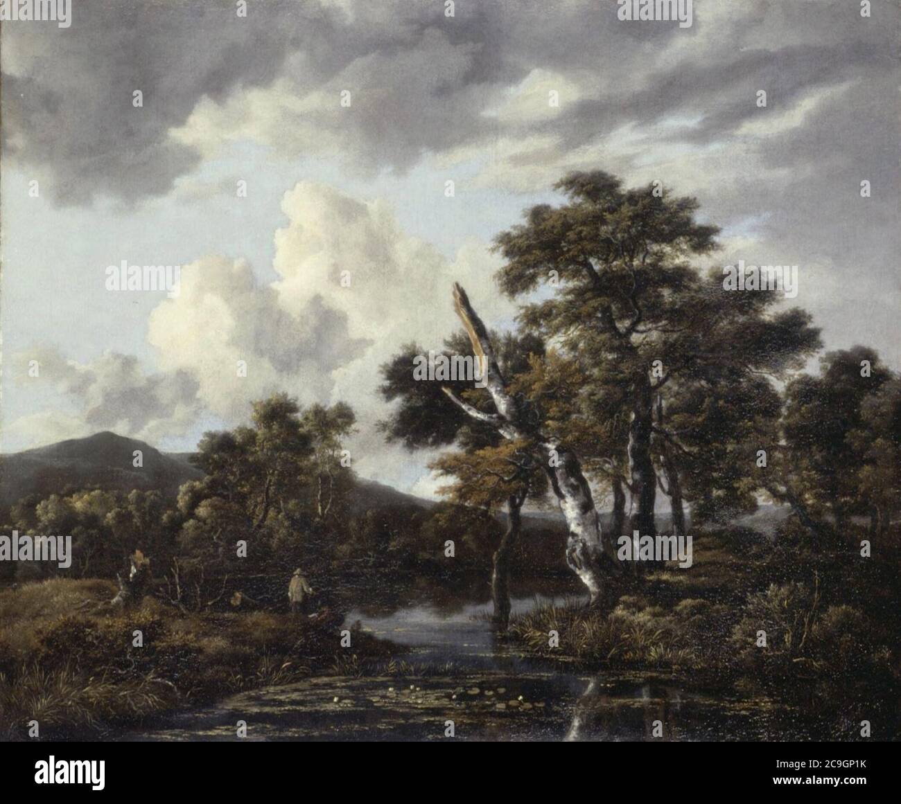 Jacob van Ruisdael - Landscape with birches and a stream Stock Photo ...