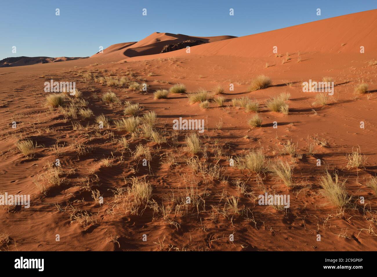 Niger rock art hi-res stock photography and images - Alamy