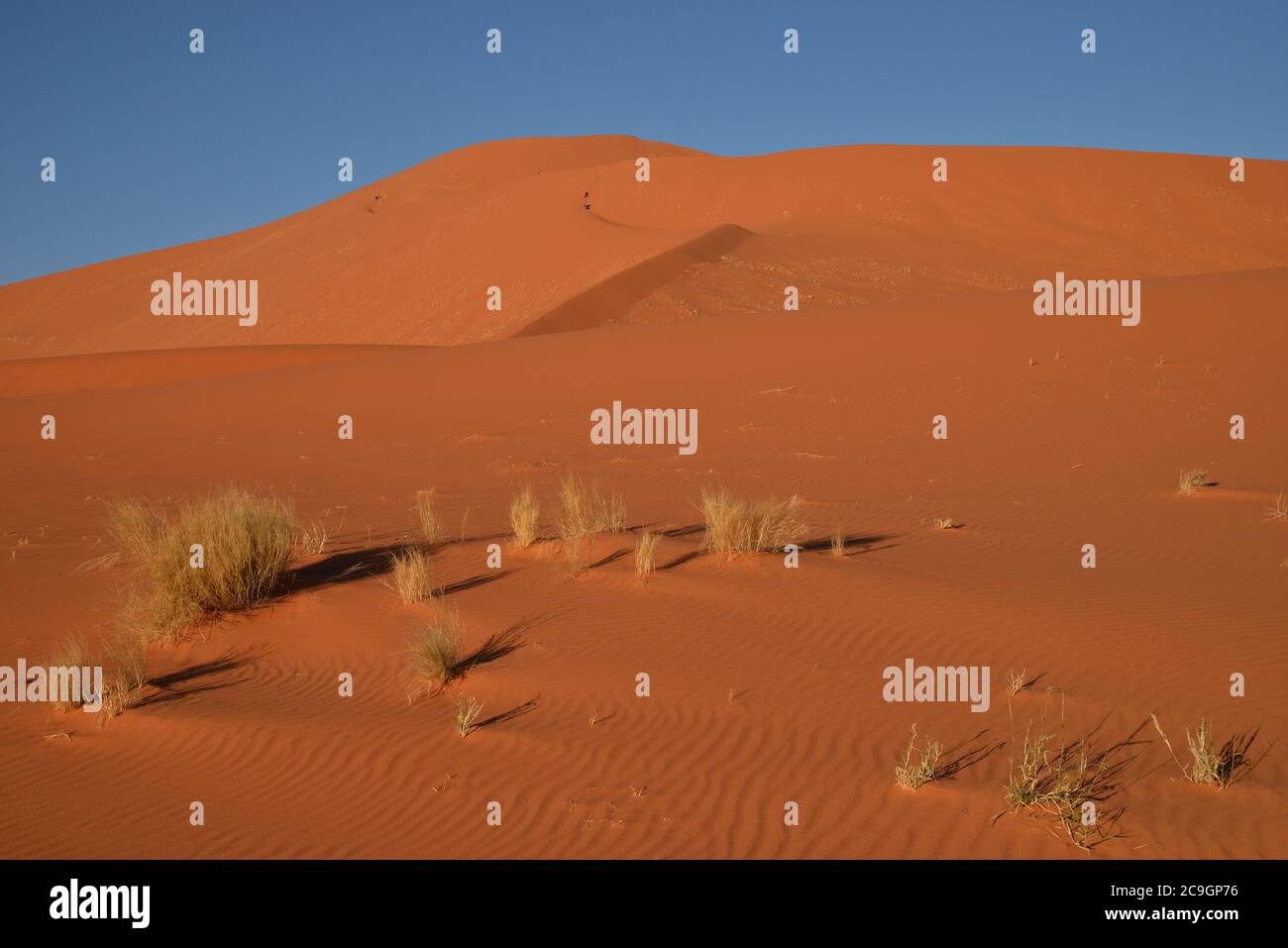 TADRART ROUGE , ALGERIA. SAHARA DESERT. TIN MERZOUGA AND MOUL N AGA ...