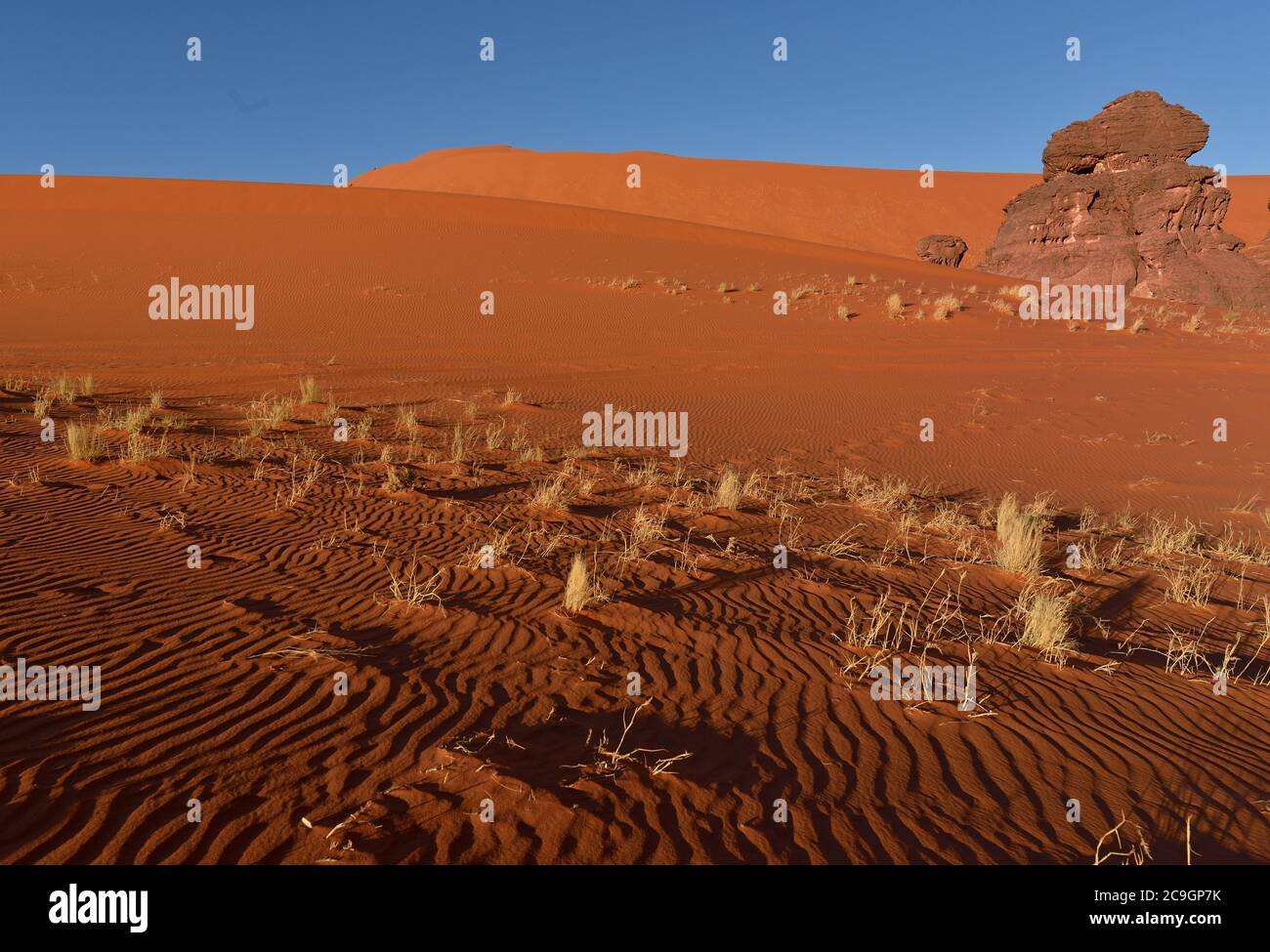 TADRART ROUGE , ALGERIA. SAHARA DESERT. TIN MERZOUGA AND MOUL N AGA ...