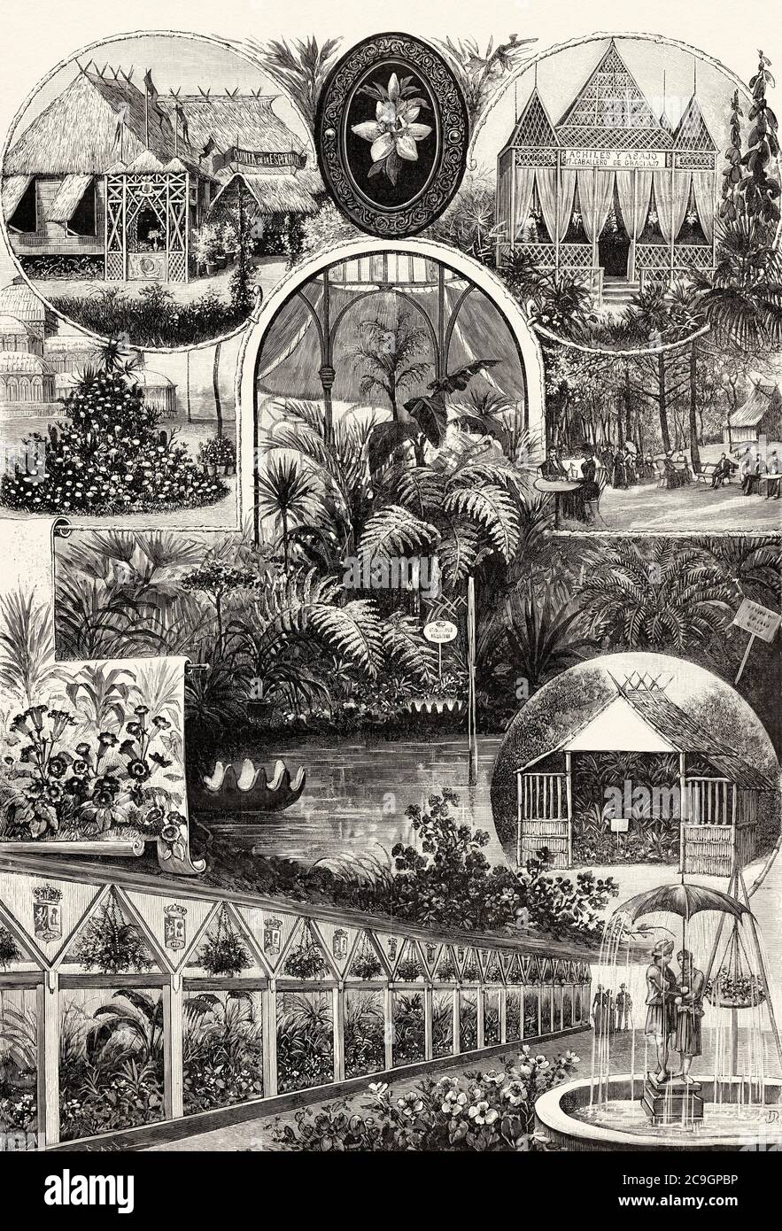 Celebrations June 1890 Madrid. Exhibition of flowers and plants in the ...