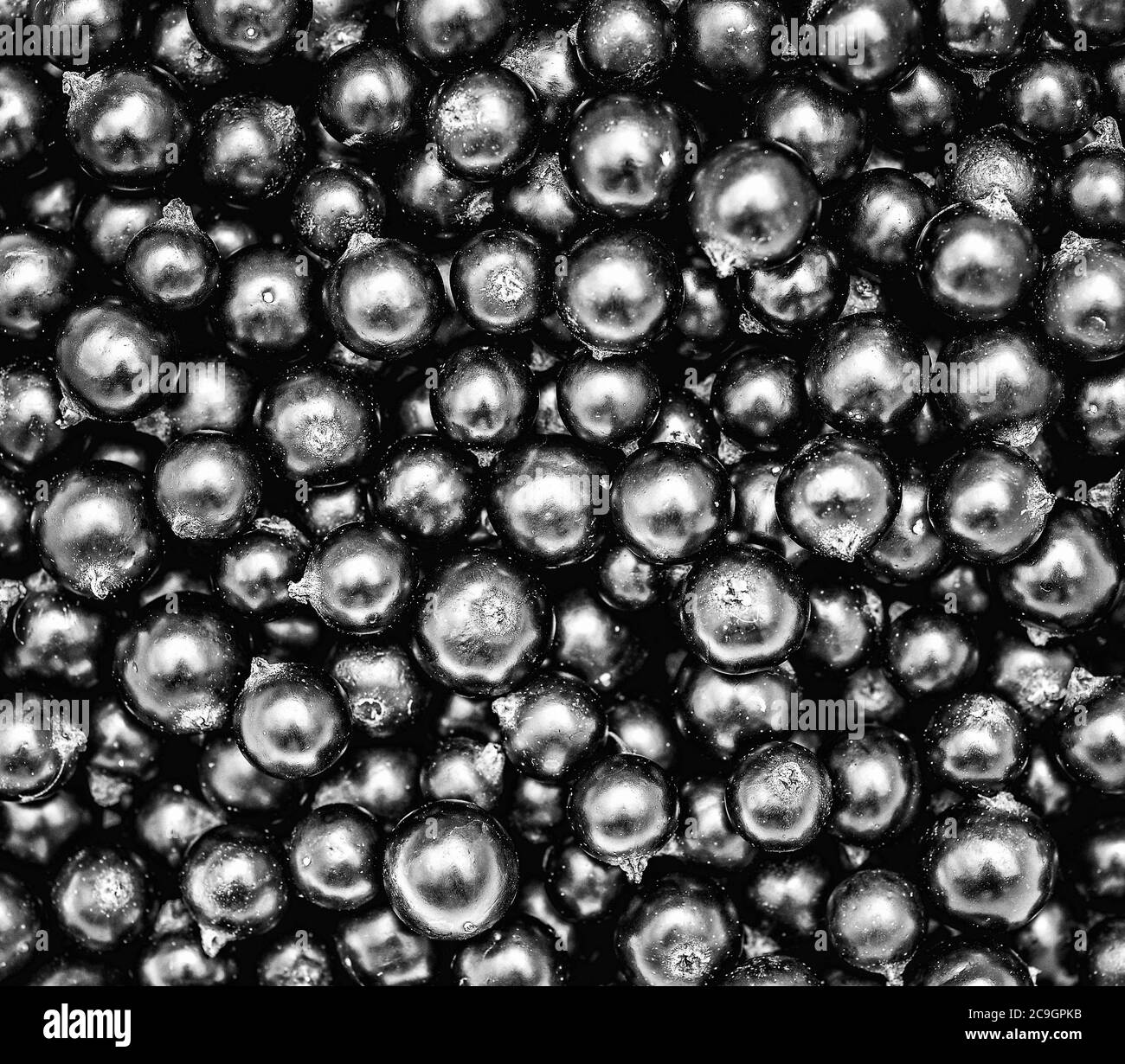 Fresh organic berries close Black and White Stock Photos & Images - Alamy