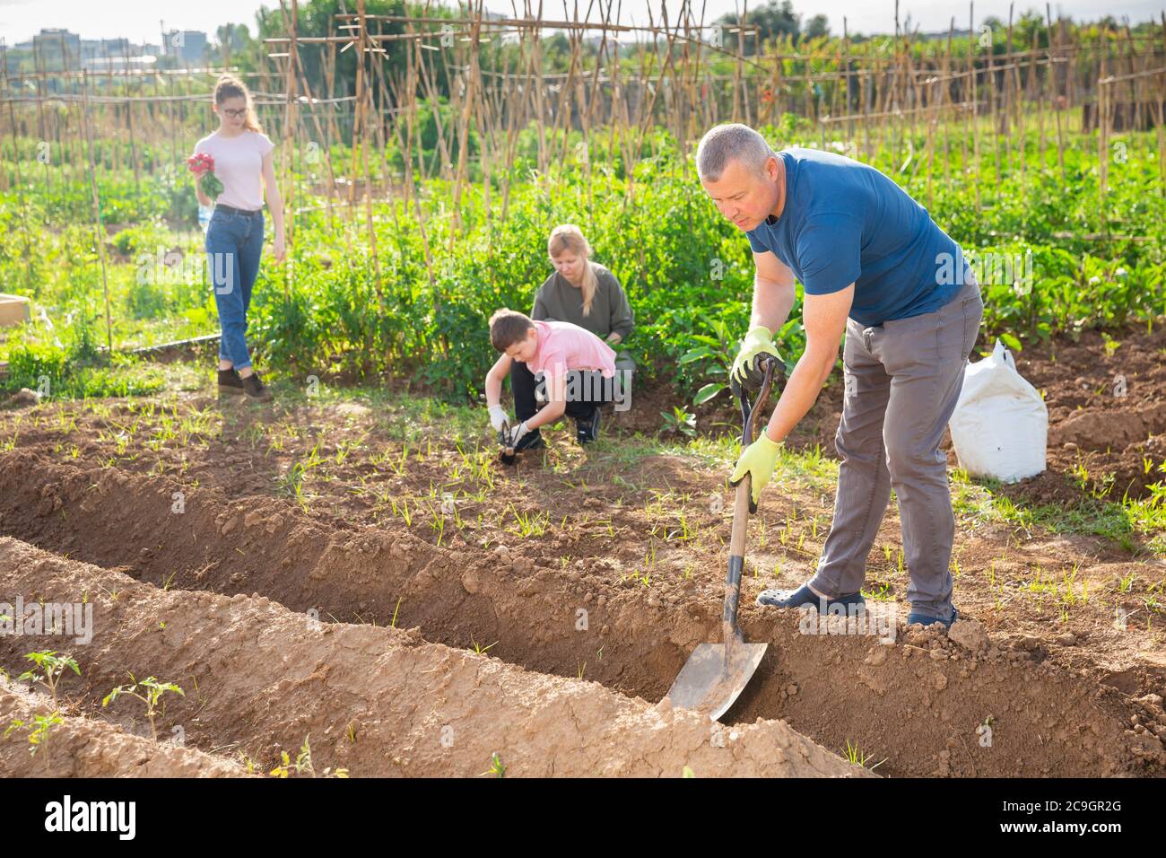 Father digs trench while the rest of the family is engaged in the ...