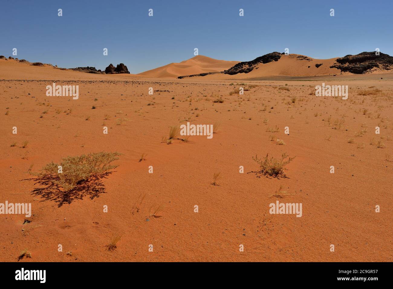 TADRART ROUGE , ALGERIA. SAHARA DESERT. TIN MERZOUGA AND MOUL N AGA ...