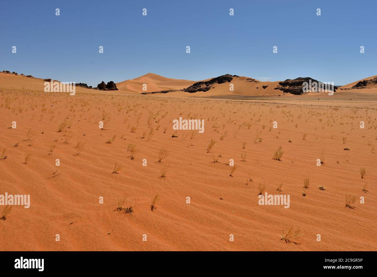 Tadrart rouge national park hi-res stock photography and images - Alamy