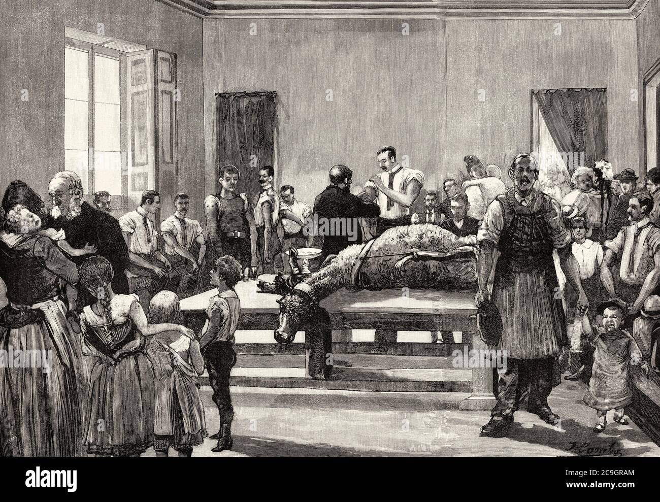 Smallpox 19th century hi-res stock photography and images - Alamy