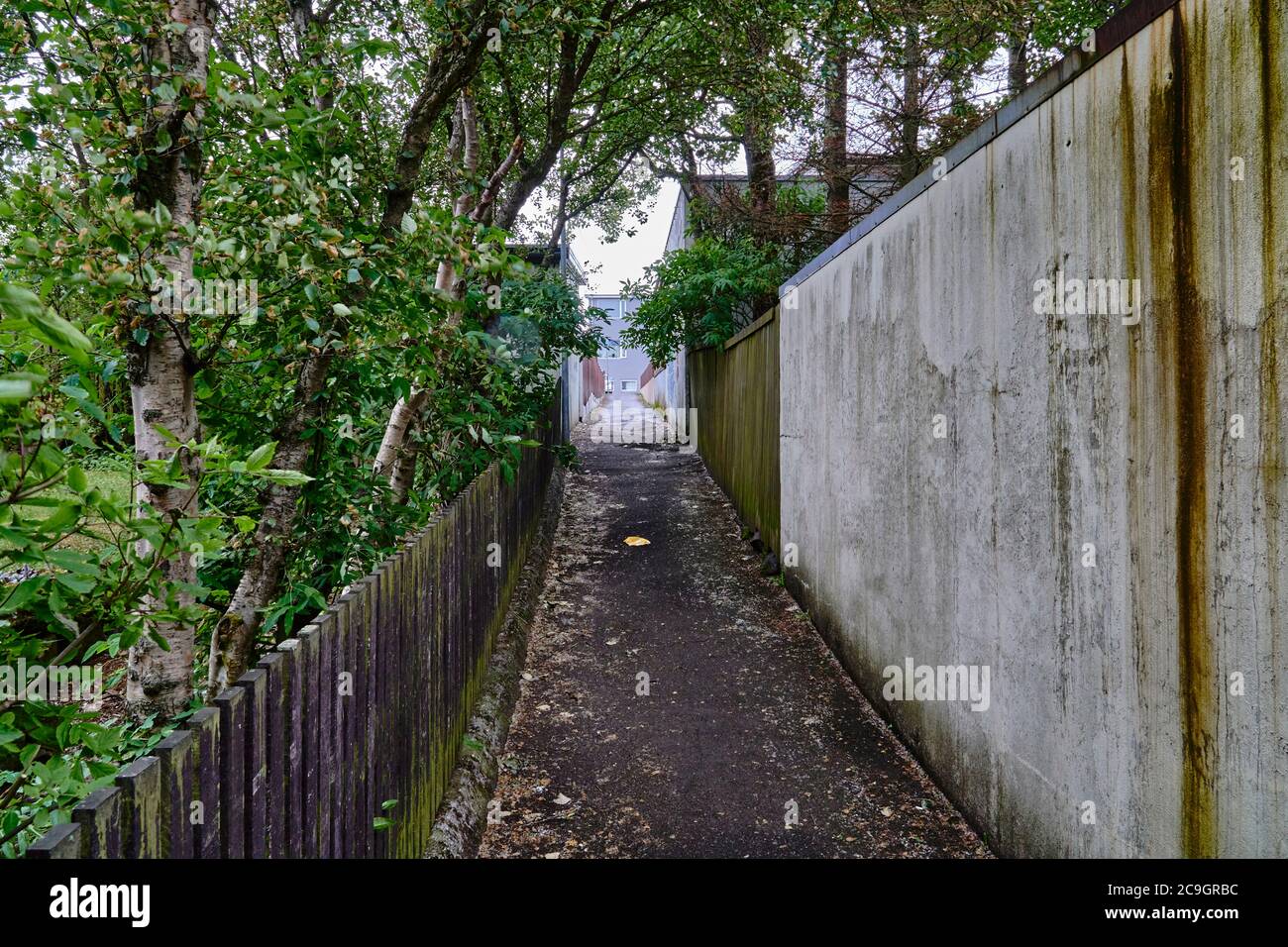 Architectural details and lush garden scenery in west Kópavogur, 50s ...
