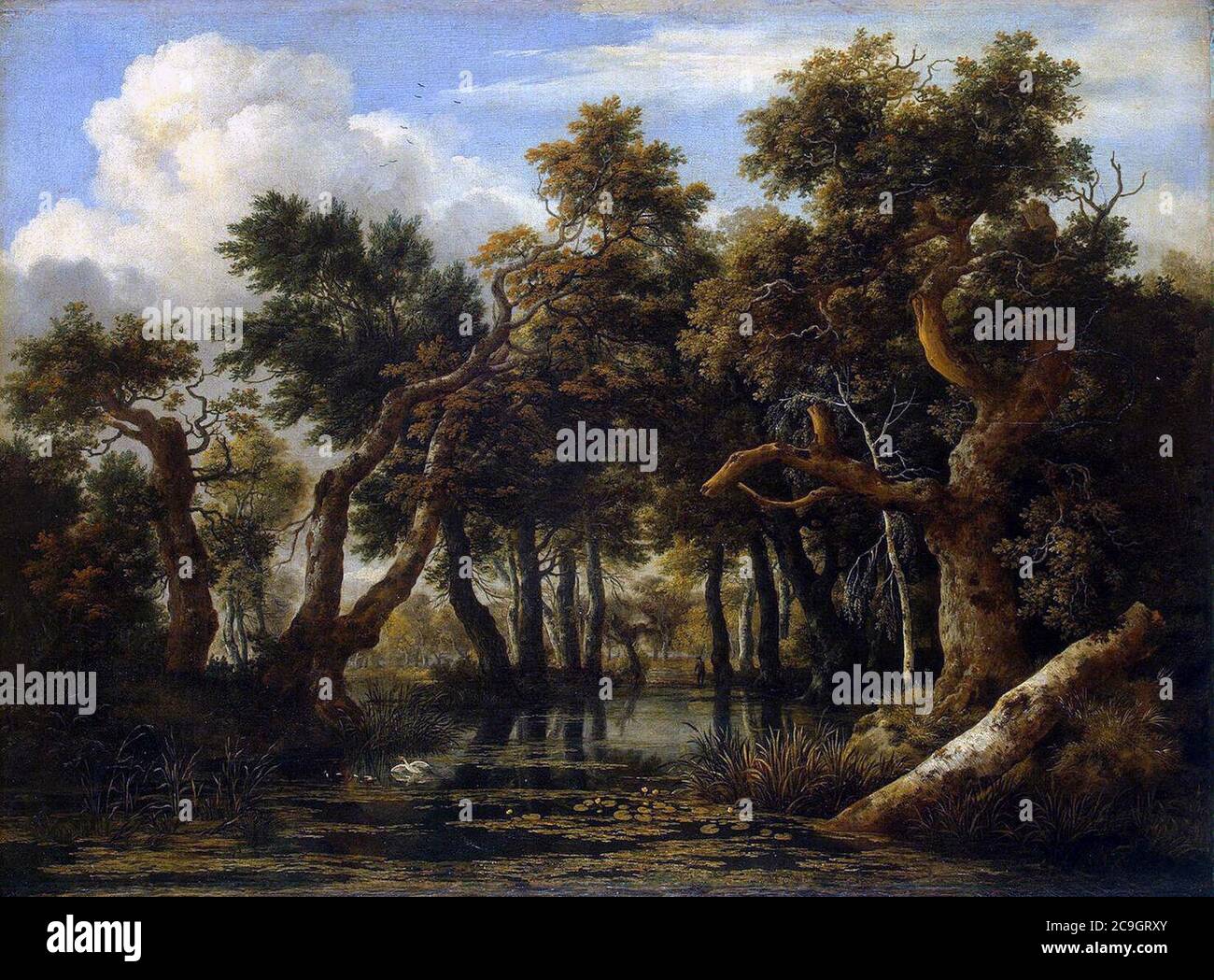 Jacob van ruisdael tree hi-res stock photography and images - Alamy