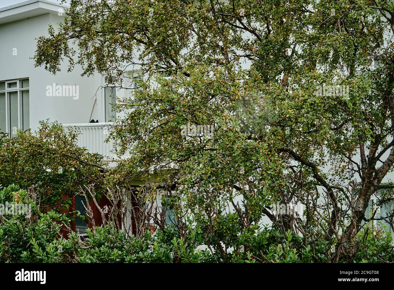 Architectural details and lush garden scenery in west Kópavogur, 50s ...