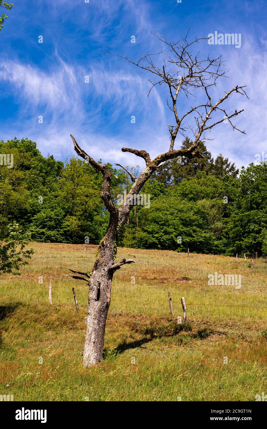 Toasted bred hi-res stock photography and images - Alamy