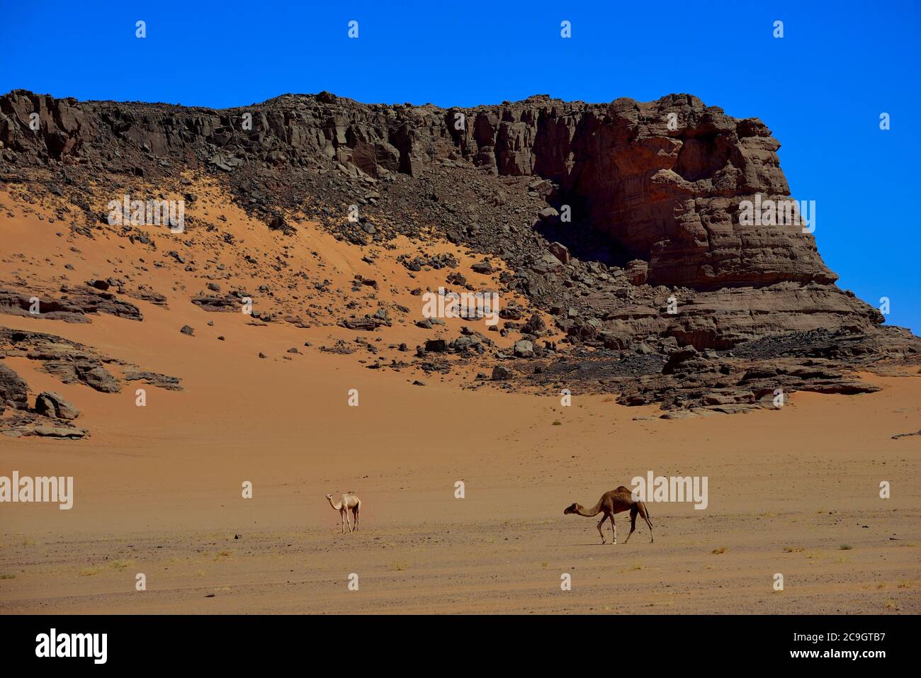 TADRART ROUGE , ALGERIA. SAHARA DESERT. TIN MERZOUGA AND MOUL N AGA ...