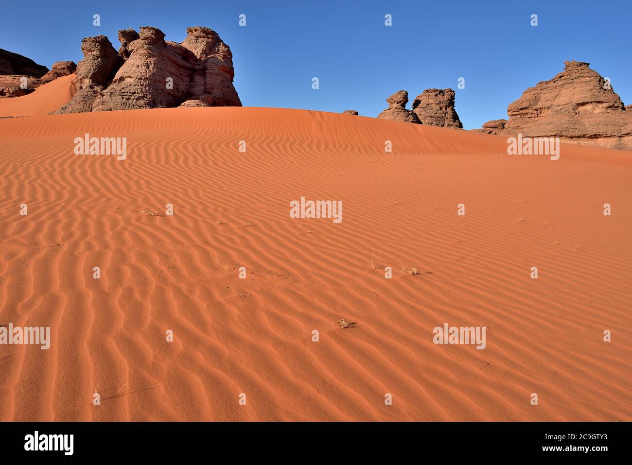 Rouge Park High Resolution Stock Photography and Images - Alamy