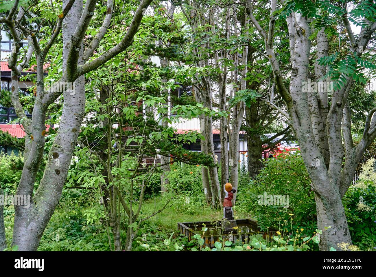 Architectural details and lush garden scenery in west Kópavogur, 50s ...