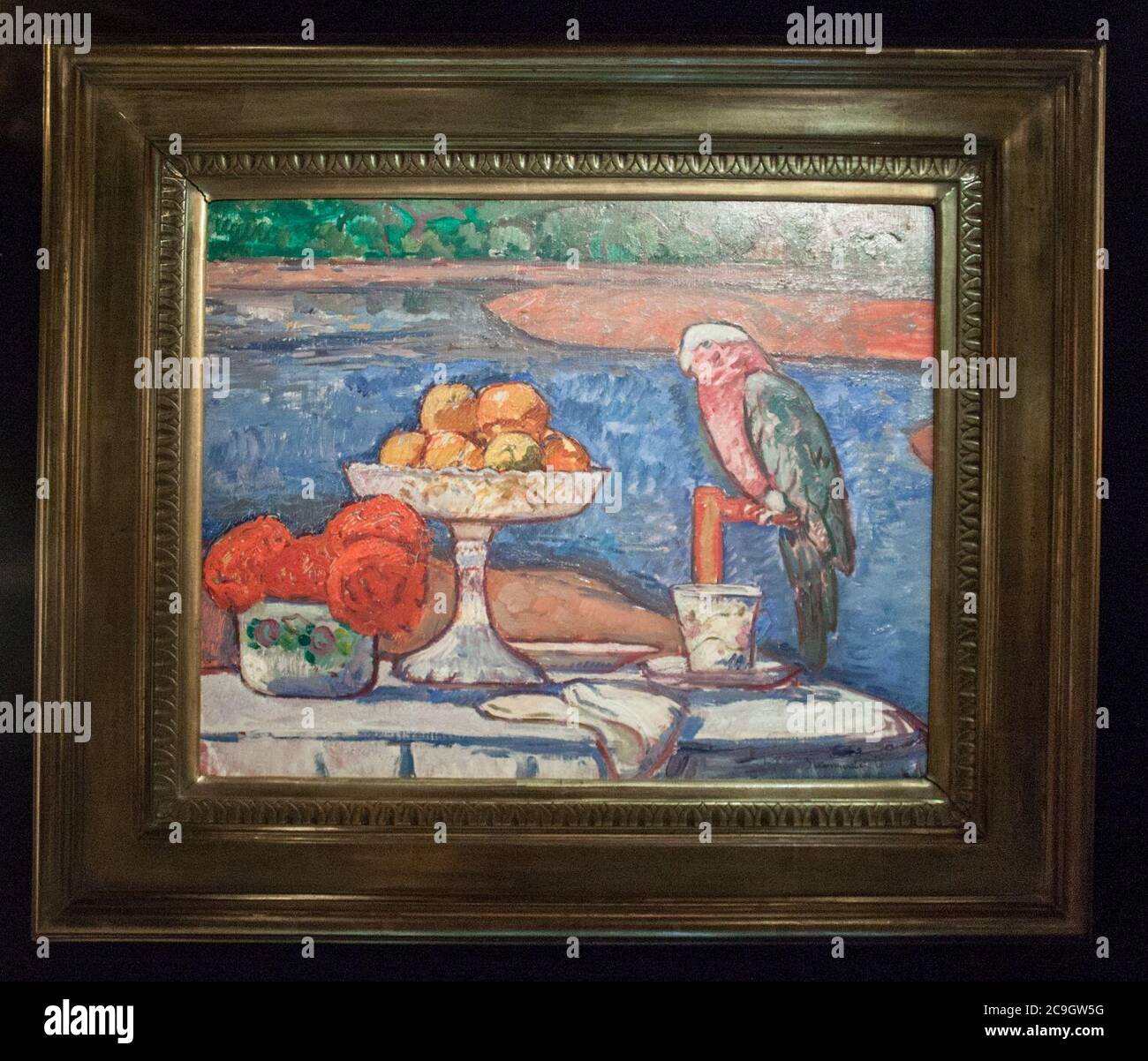 Still life with a parrot hi-res stock photography and images - Alamy