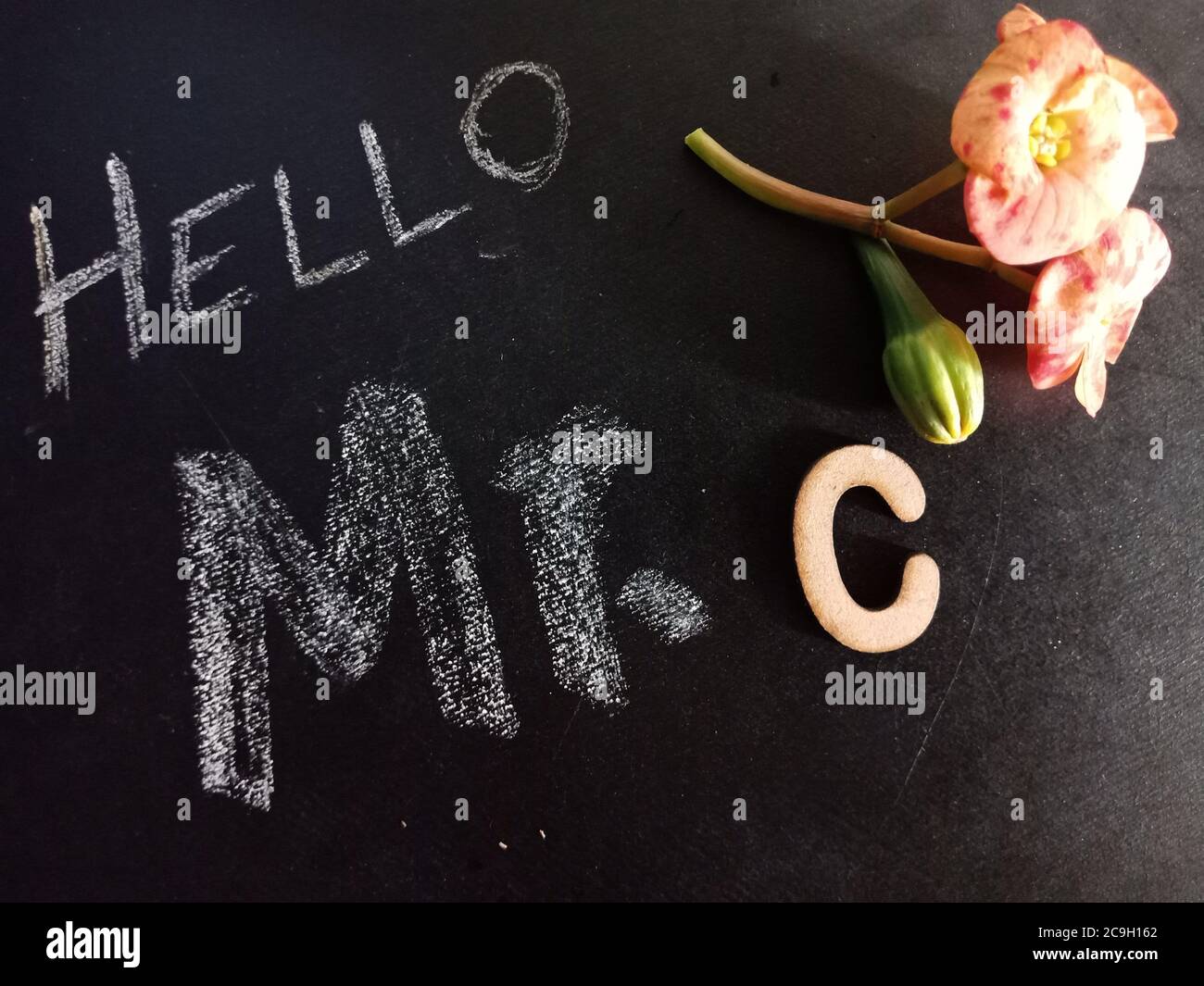 Hello mister C text displayed on chalk board concept with wooden ...