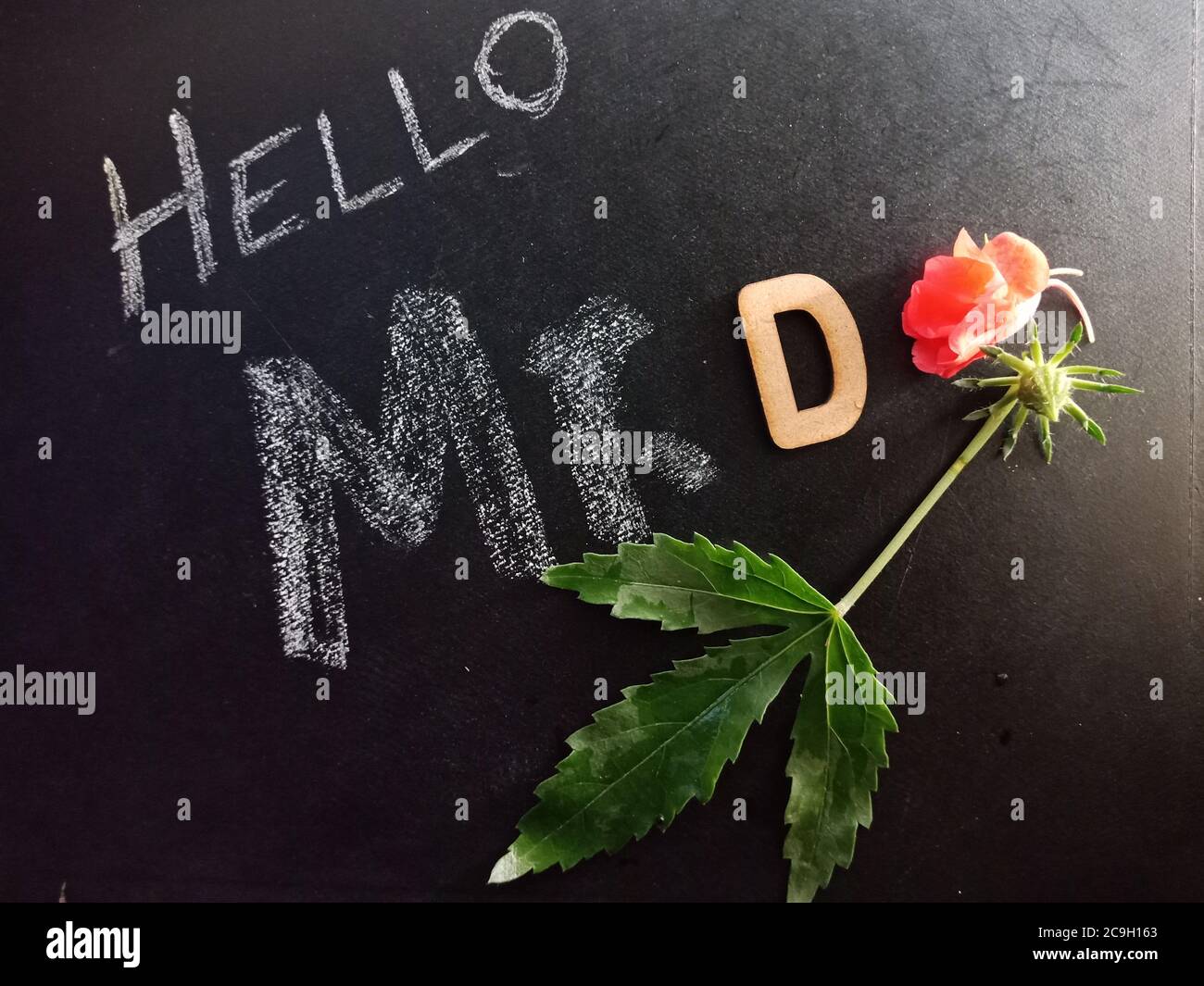 Hello mister D text displayed on chalk board concept with wooden ...
