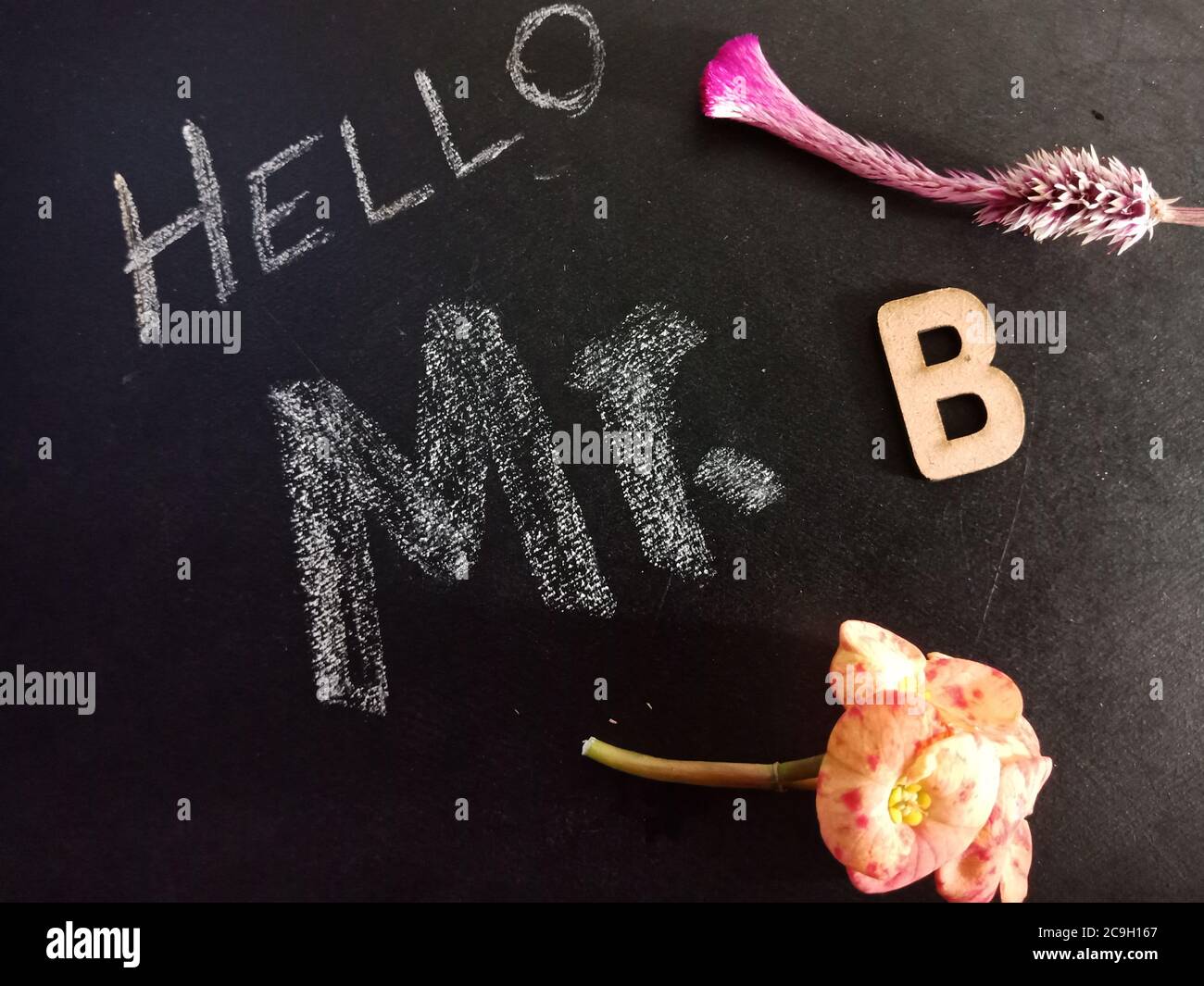 Hello mister B text displayed on chalk board concept with wooden ...