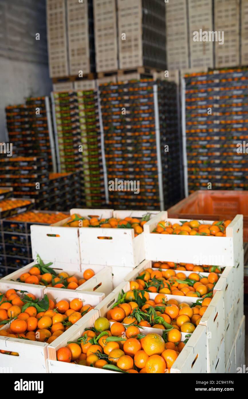 Stacks of fruit boxes hi-res stock photography and images - Alamy