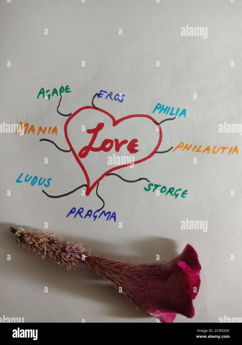 Love word related terminology in multiple language presented on ...