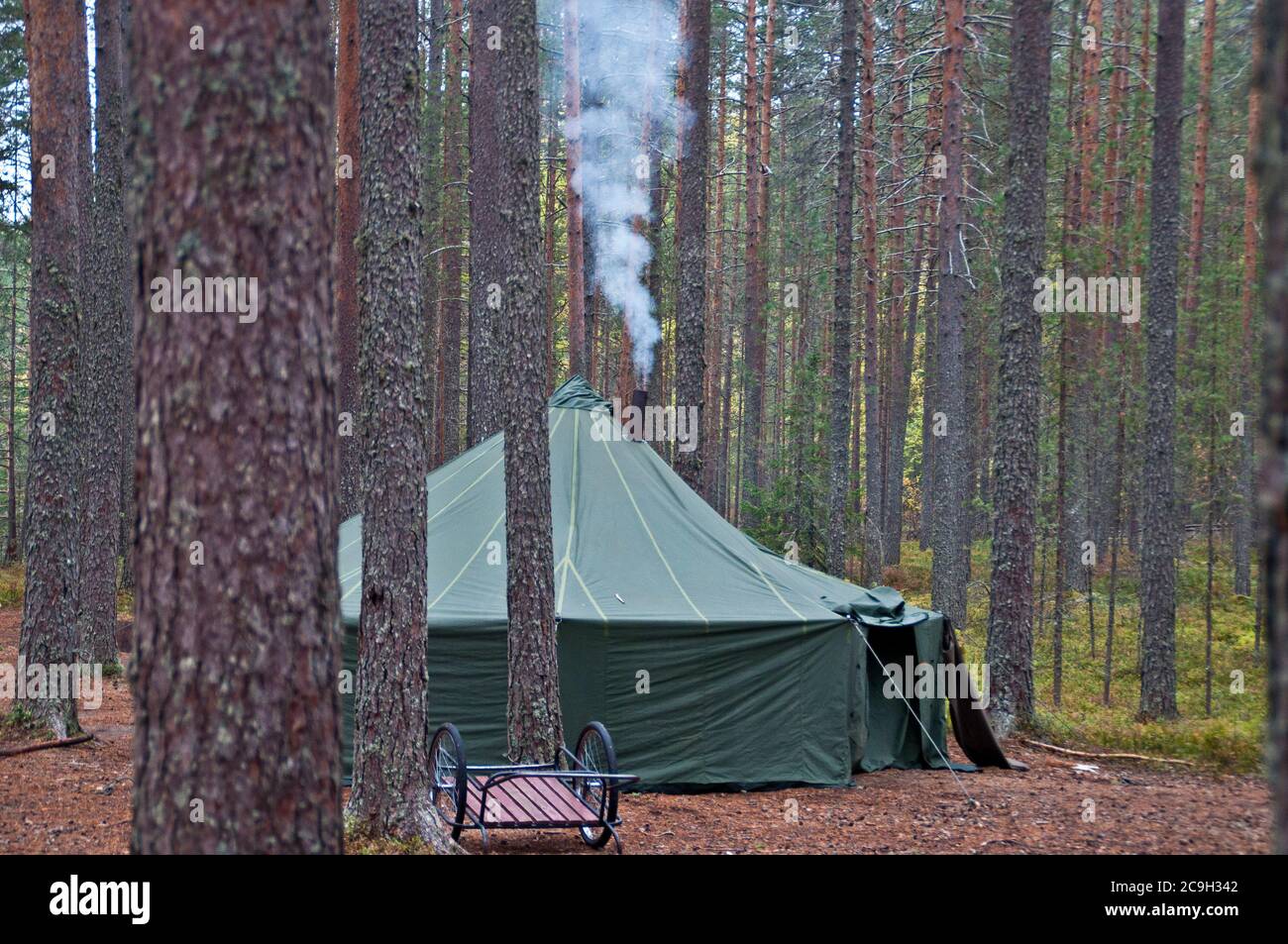 Tent in the woods of North-Karelia, Finland Stock Photo - Alamy