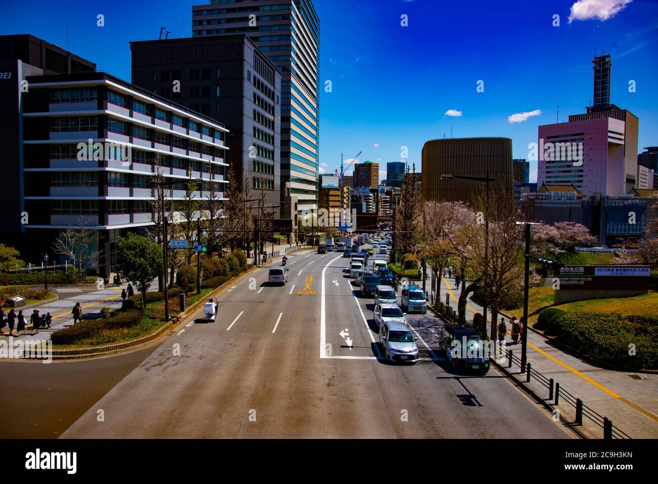 A cherry street at Yasukuni avenue in Tokyo wide shot Stock Photo - Alamy