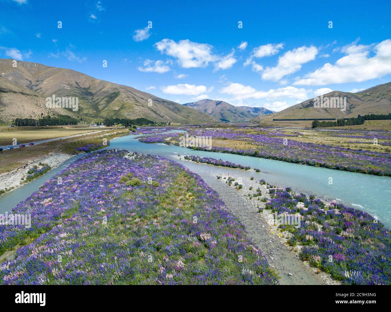 Riverbed of the Ahuriri River, aerial view, purple flowering Large ...