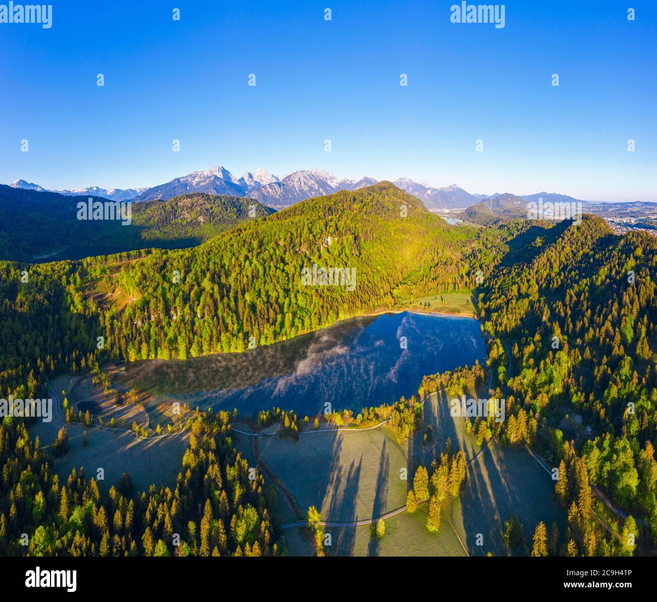 See swan lake hi-res stock photography and images - Alamy