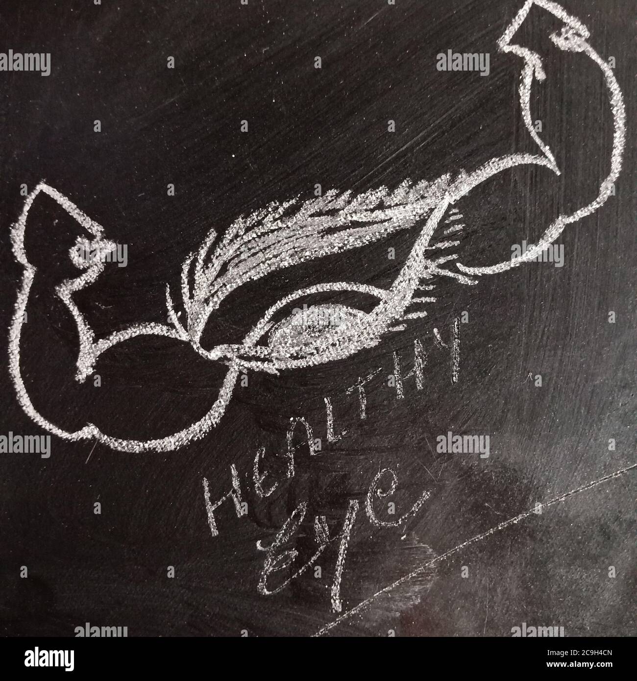 Funny healthy eyes words cartoon art drawing on chalkboard for kid ...