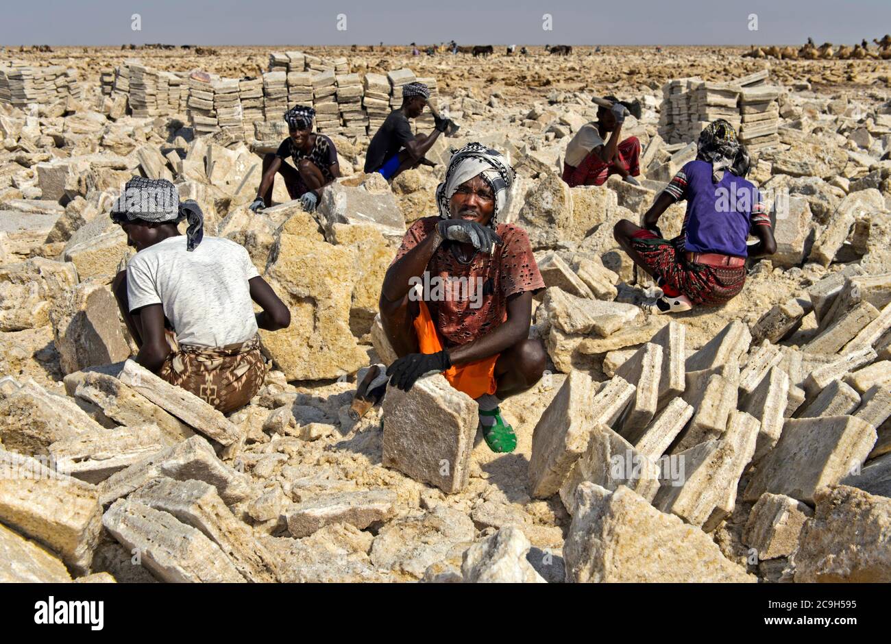 Sediment transport hi-res stock photography and images - Alamy