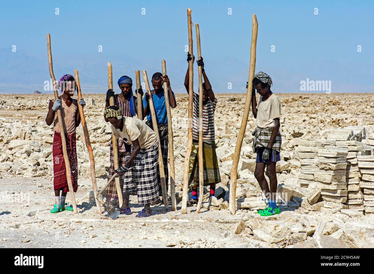 Traditional mining of salt at the assale salt lake hi-res stock ...