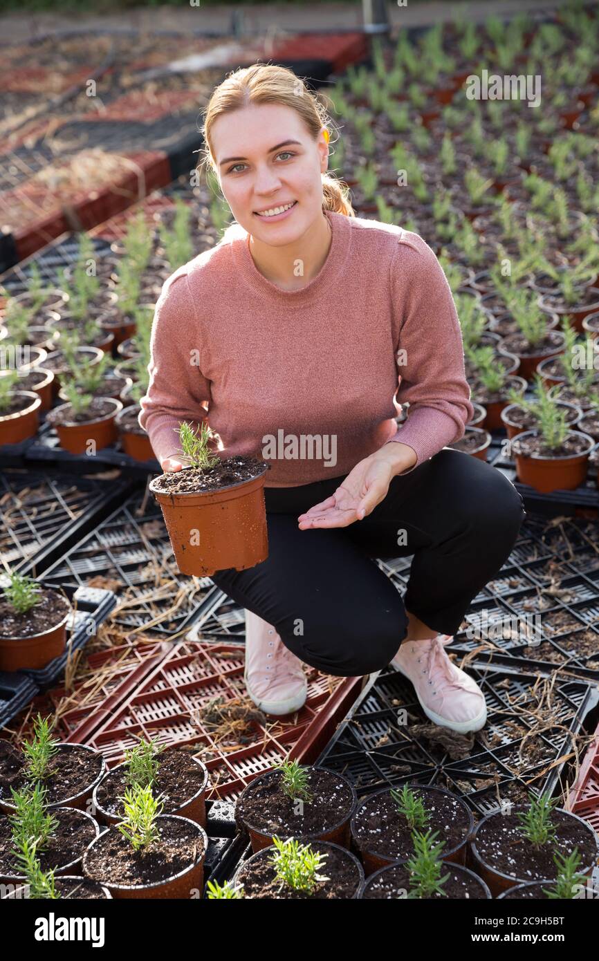Woman holding rosemary leaves hi-res stock photography and images - Alamy
