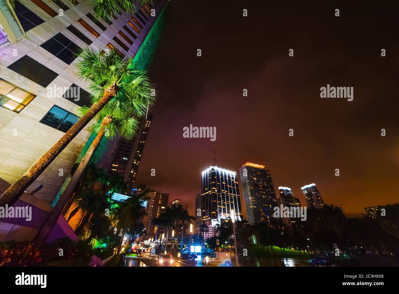 Palm trees and skyscrapers in downtown Miami at night. Southern Florida ...