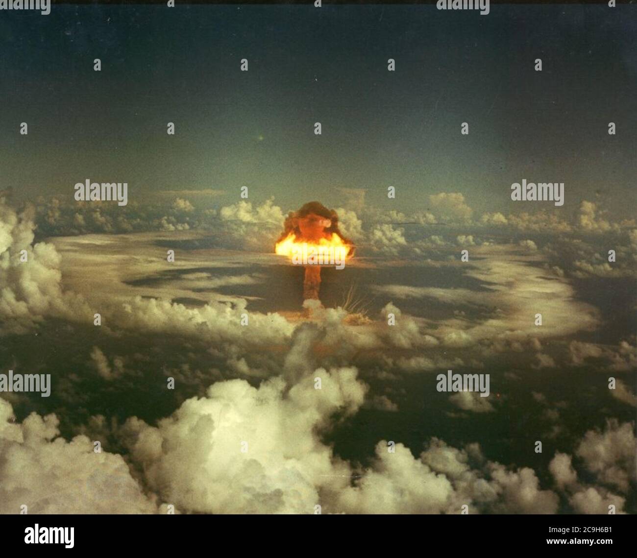 Ivy king hi-res stock photography and images - Alamy