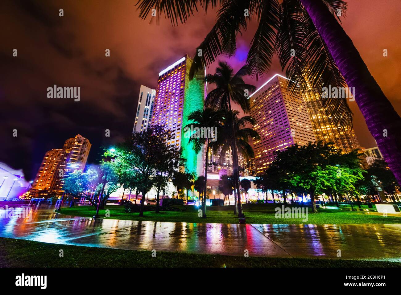 Palms and colorful skyscrapers in downtown Miami at night. Southern ...