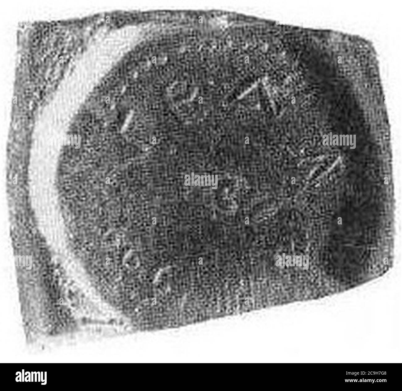 Polock hi-res stock photography and images - Alamy