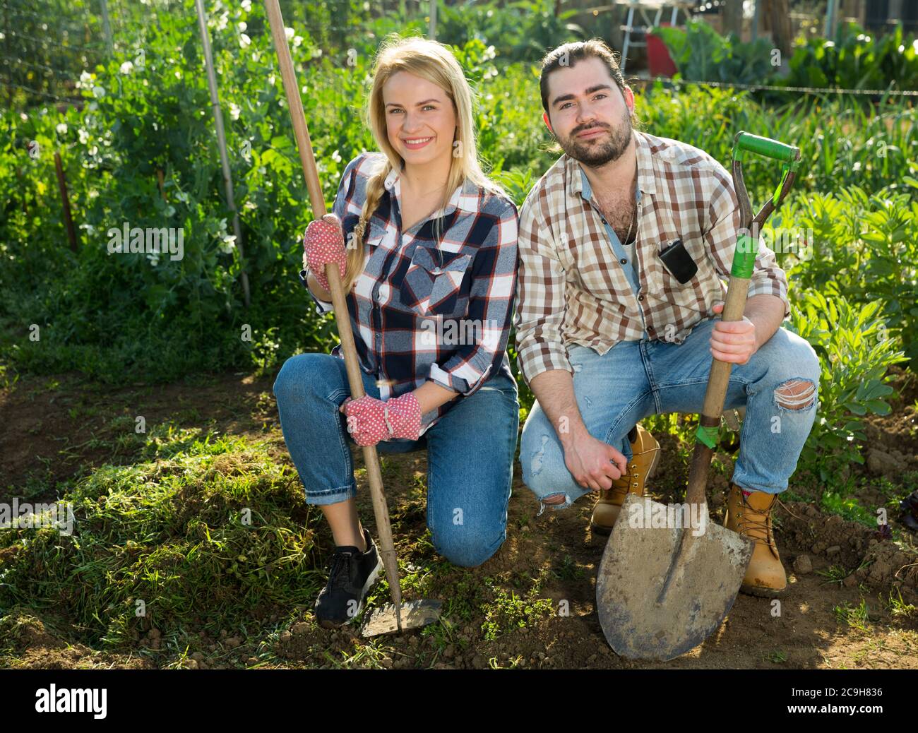 Man and woman weed the beds of weeds with a rake Stock Photo - Alamy