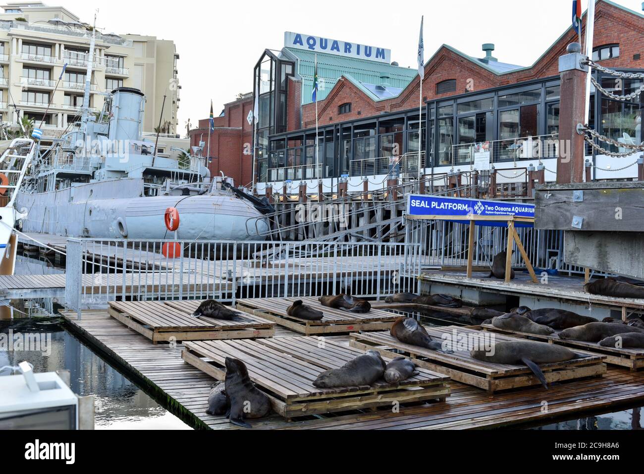 Seal Platform at Victoria & Alfred Waterfront, Cape Town, South Africa ...