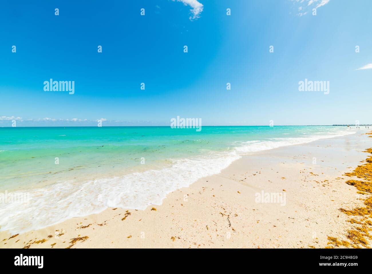 Turquoise water under a shining sun in Miami Beach. Southern Florida ...