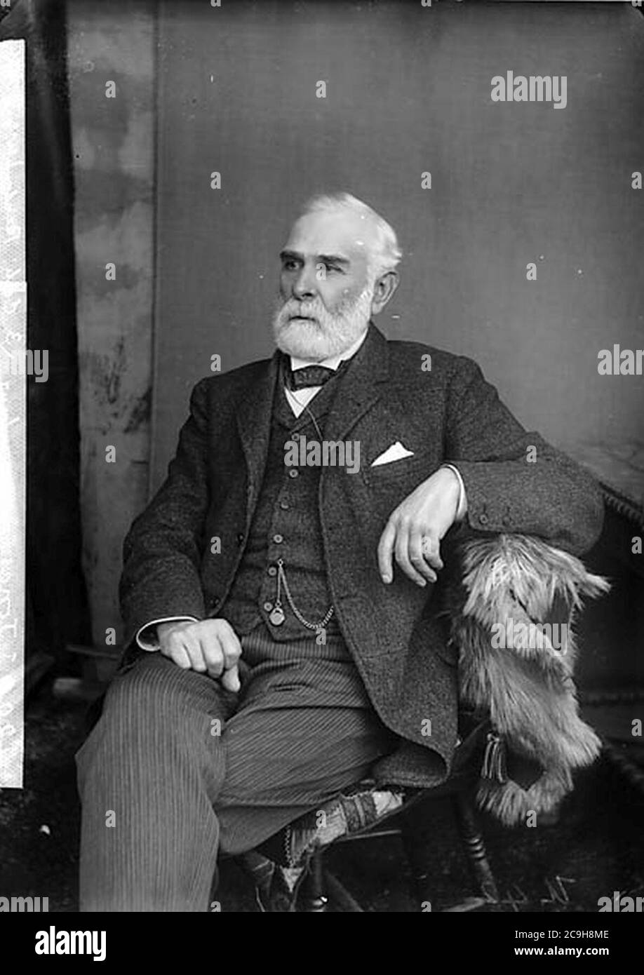 Llanfyllin tree hi-res stock photography and images - Alamy