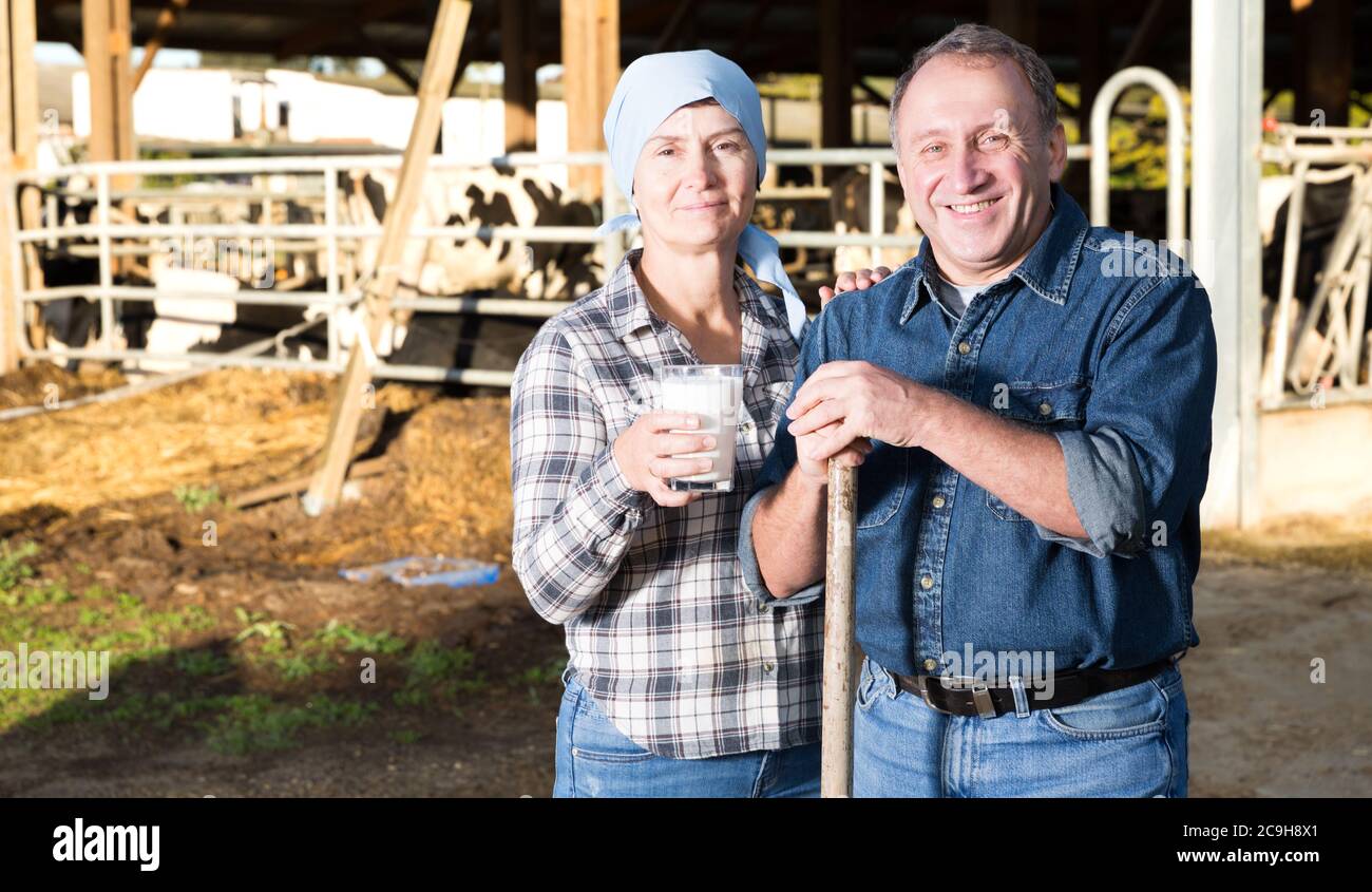 Portrait of successful senior man and woman owners of dairy farm at ...