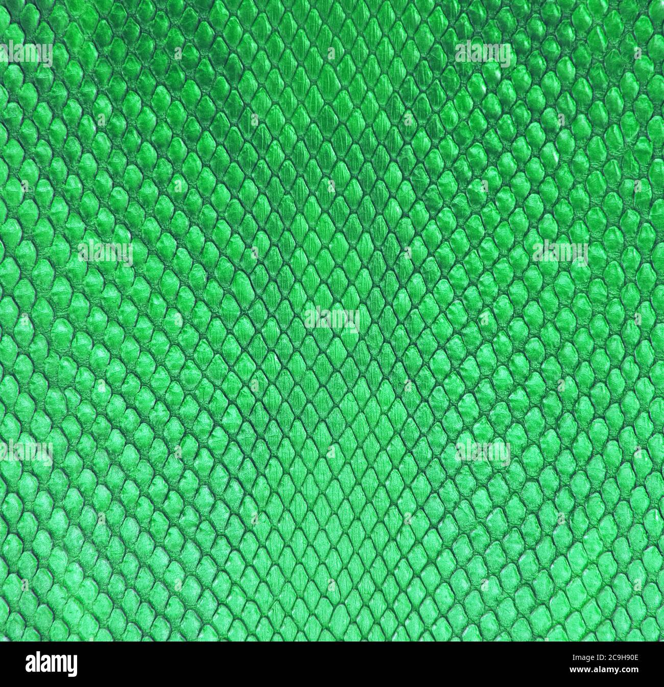 Green diamond pattern fabric Stock Photo - Alamy